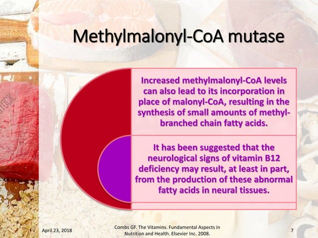 Metabolic functions of cyanocobalamin | PPSX | Endocrine and Metabolic ...