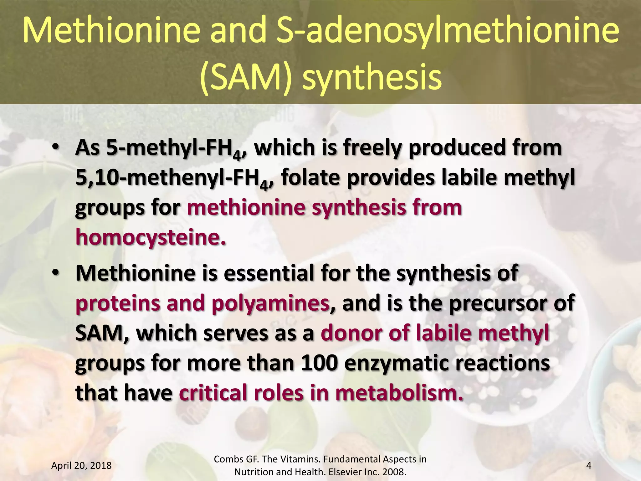 Metabolic functions of folate | PPSX