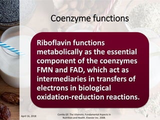 Metabolic functions of riboflavin | PPT