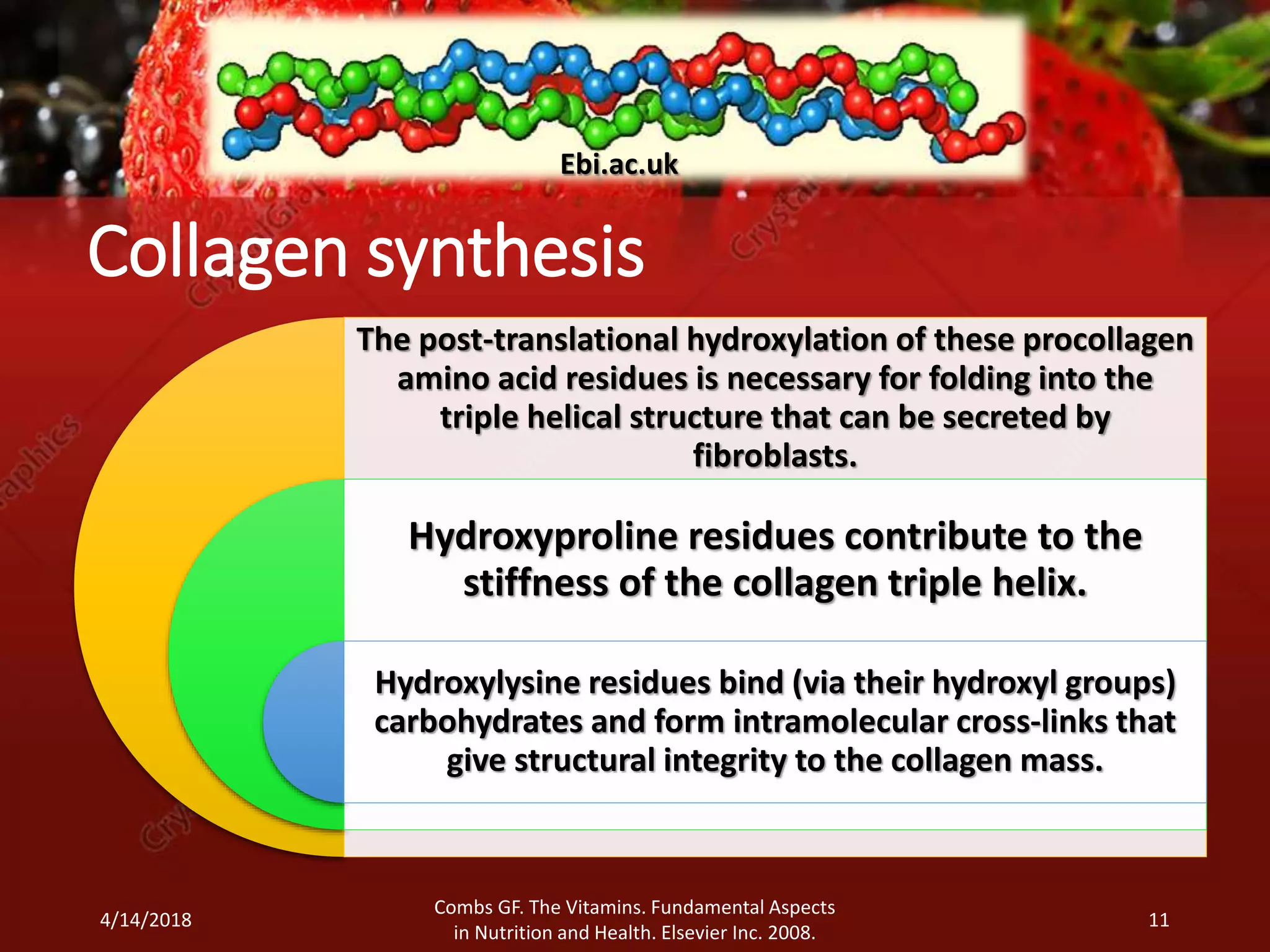 Metabolic functions of vitamin C | PPSX