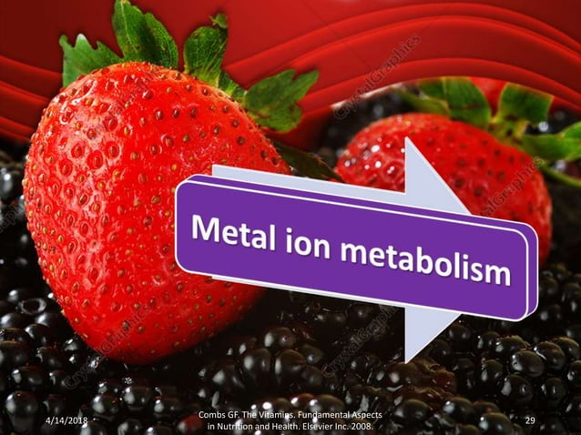 Metabolic functions of vitamin C | PPSX