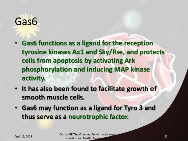 Metabolic functions of vitamin K
