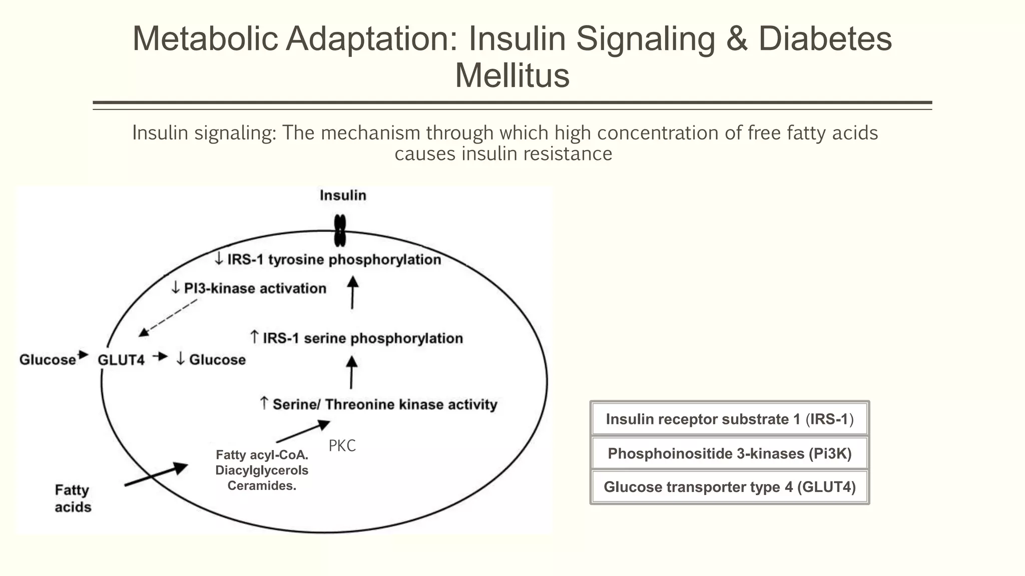 Metabolic homeostasis | PPTX