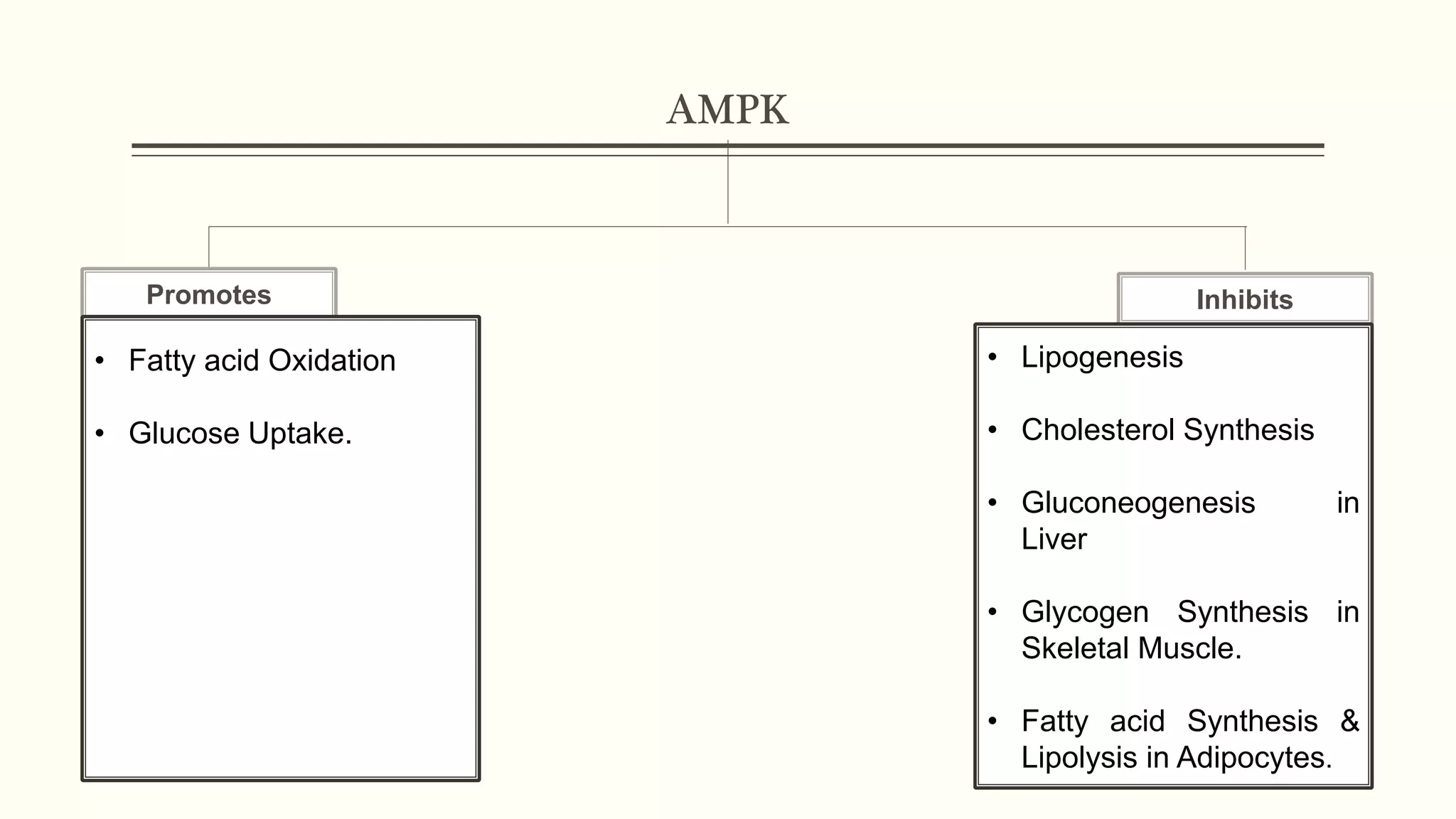 Metabolic homeostasis | PPTX