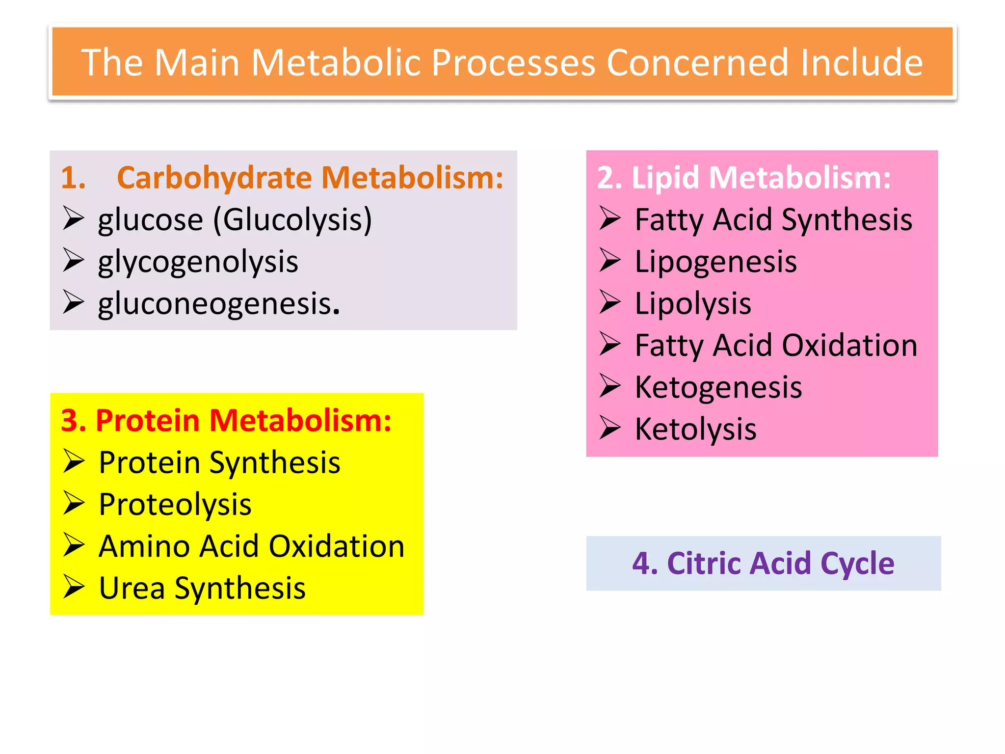 Metabolic Integration - Lecture 9 - Presentation - Dr. Shimaa Nabil.pptx