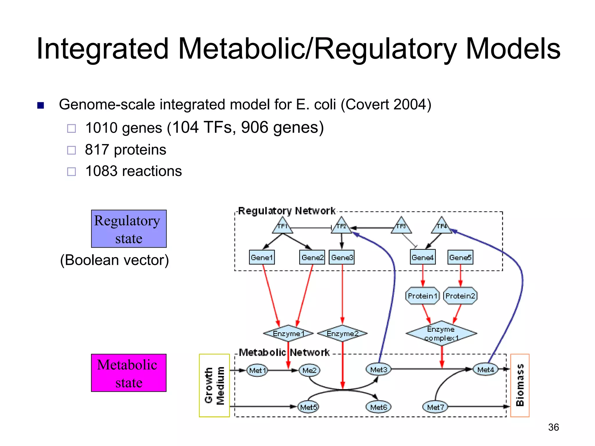 Metabolic_networks_lecture2 (1).ppt