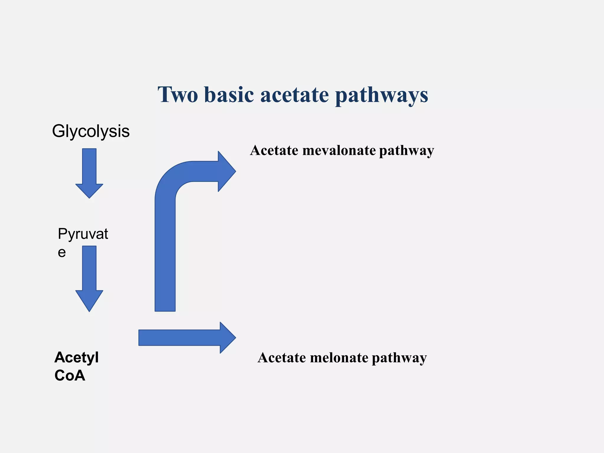 Metabolic pathway in higher plants and their determination | PPTX
