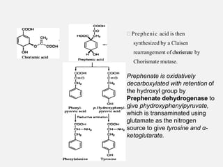 Metabolic pathway in higher plants and their determination | PPTX ...
