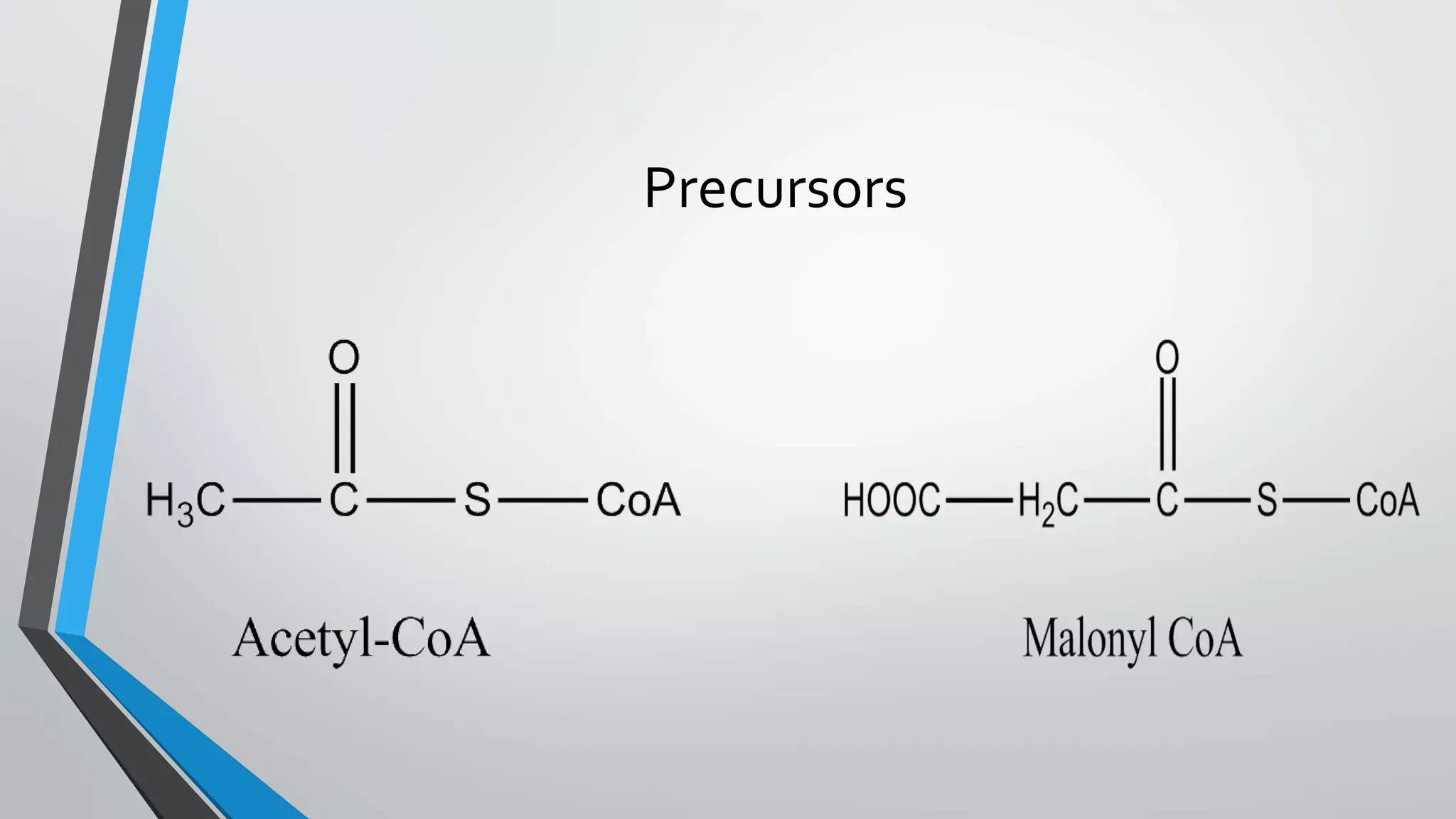 Acetate-Malonate Pathway | PPTX