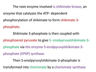 Metabolic pathways | PPTX