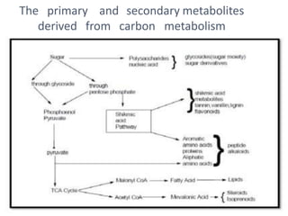 Metabolic pathways | PPTX