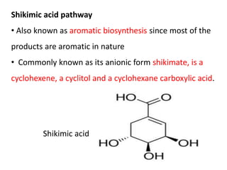 Metabolic pathways | PPTX