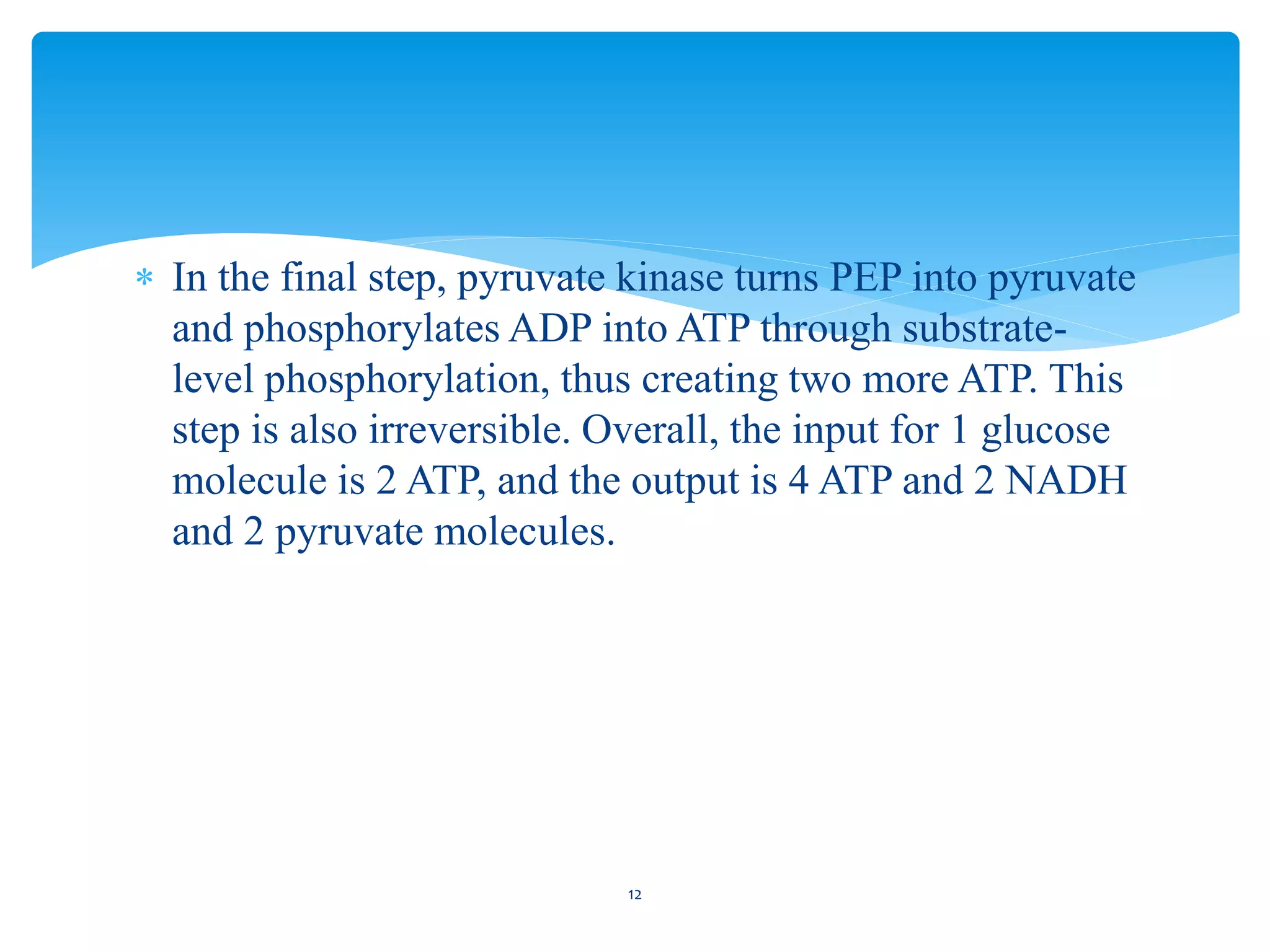 Metabolic pathways.pptx