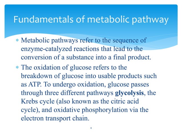 Metabolic pathways.pptx