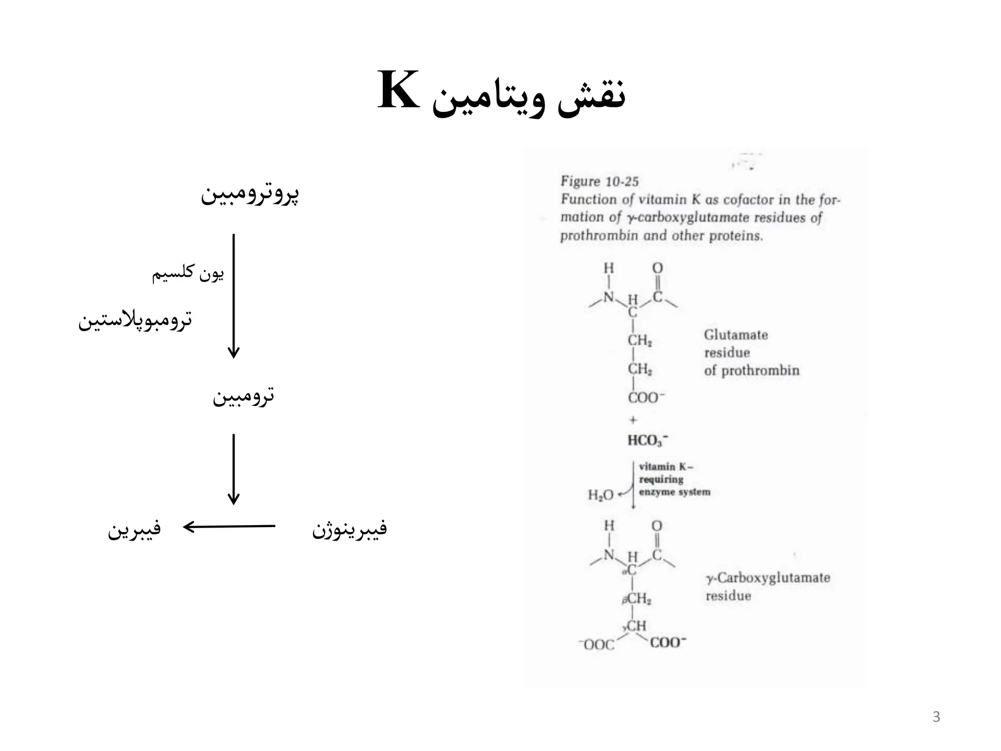 Metabolic Pathways-BasicBiochemistry.pptx