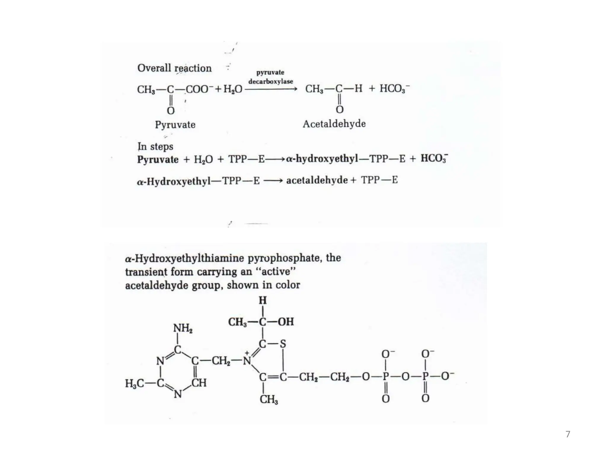 Metabolic Pathways-BasicBiochemistry.pptx