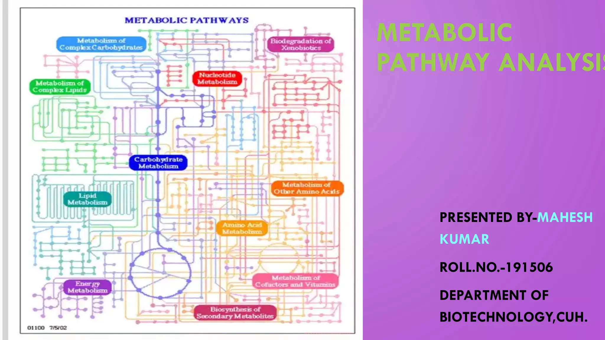 Metabolic pathways analysis. | PDF