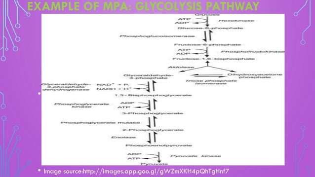 Metabolic pathways analysis. | PDF