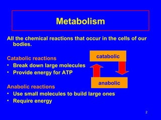 Metabolic pathways and energy production | PPT