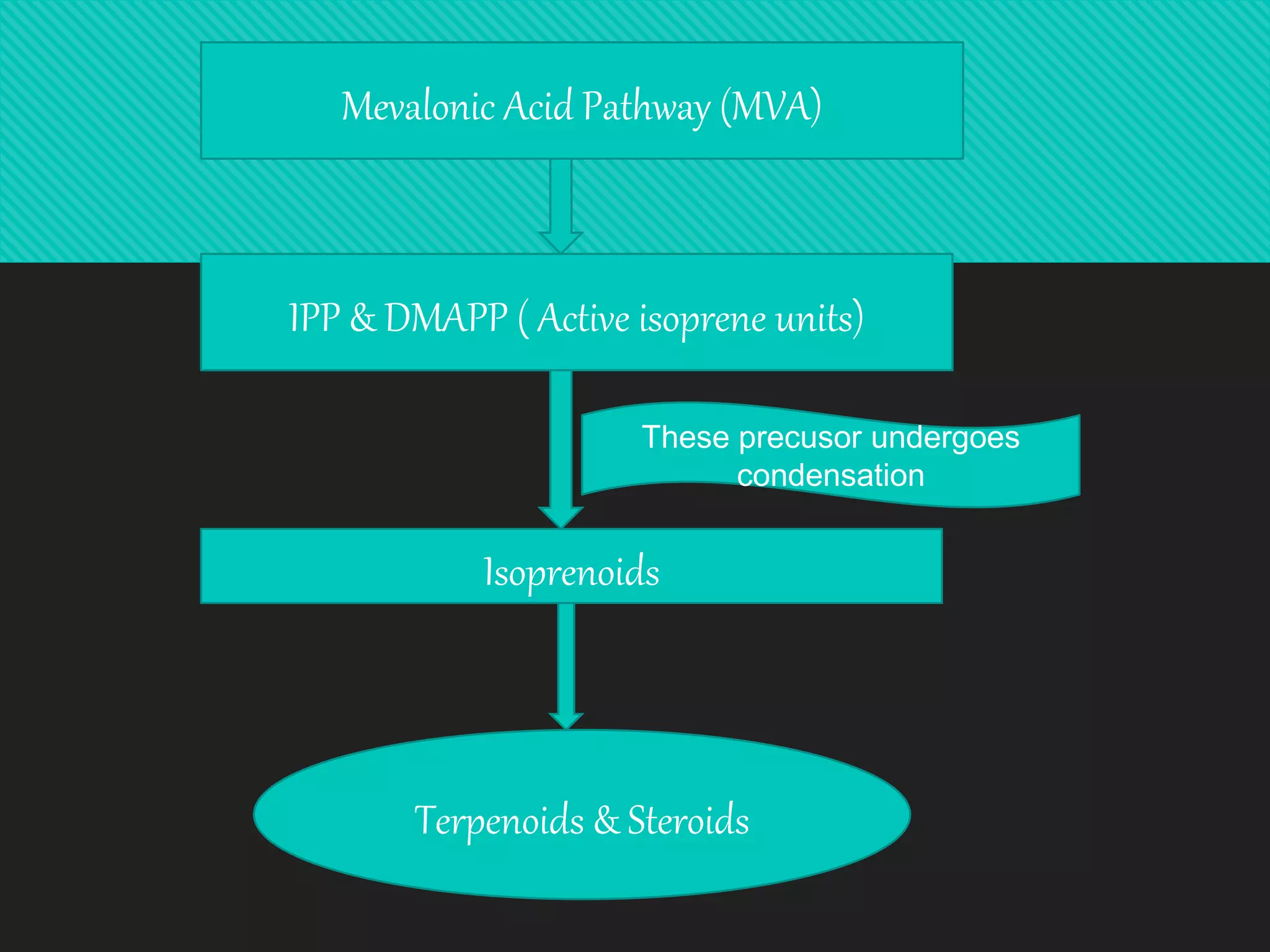 Metabolic pathways in higher plants and their determination | PPTX