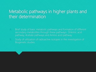 Metabolic pathways in higher plants and their determination | PPTX