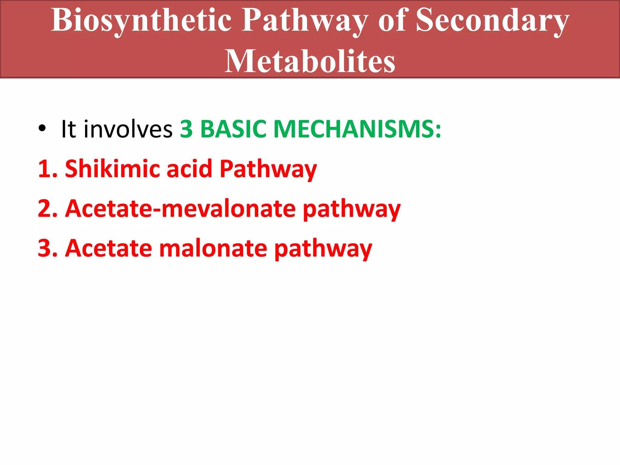Metabolic pathways in plants | PPTX