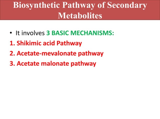 Metabolic pathways in plants | PPTX | Endocrine and Metabolic Diseases | Diseases and Conditions