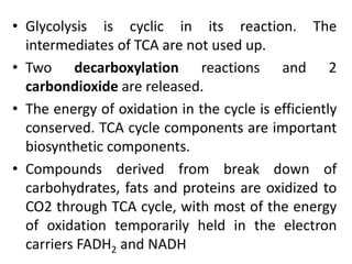 Metabolic pathways of cellular respiration, Bioenergetics and redox ...
