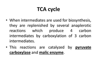 Metabolic pathways of cellular respiration, Bioenergetics and redox ...