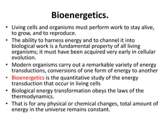 Metabolic pathways of cellular respiration, Bioenergetics and redox ...