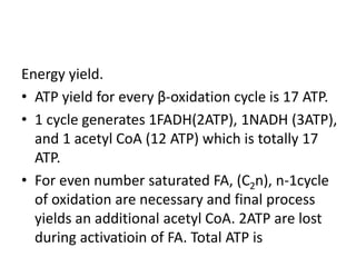 Metabolic pathways of cellular respiration, Bioenergetics and redox ...