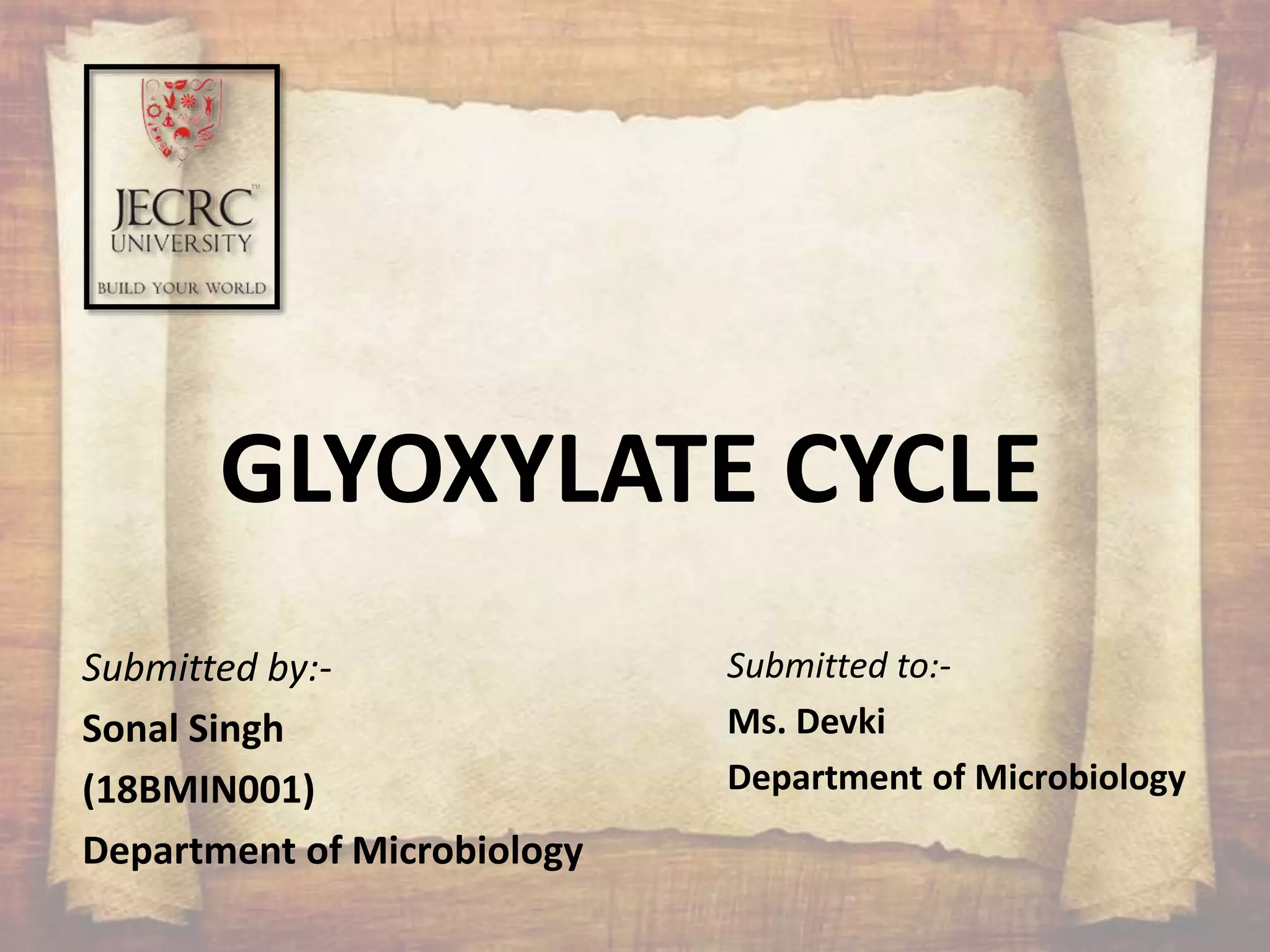 Glyoxylate Cycle | PPTX