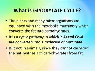 Glyoxylate Cycle | PPTX