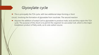 Metabolic pathways with particular relevance to environmental ...