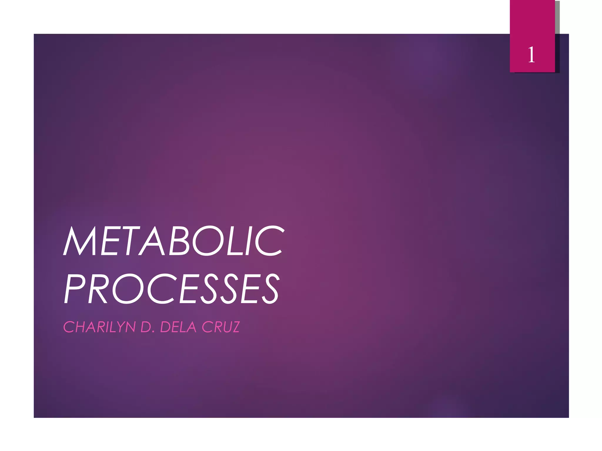Metabolic processes | PPT