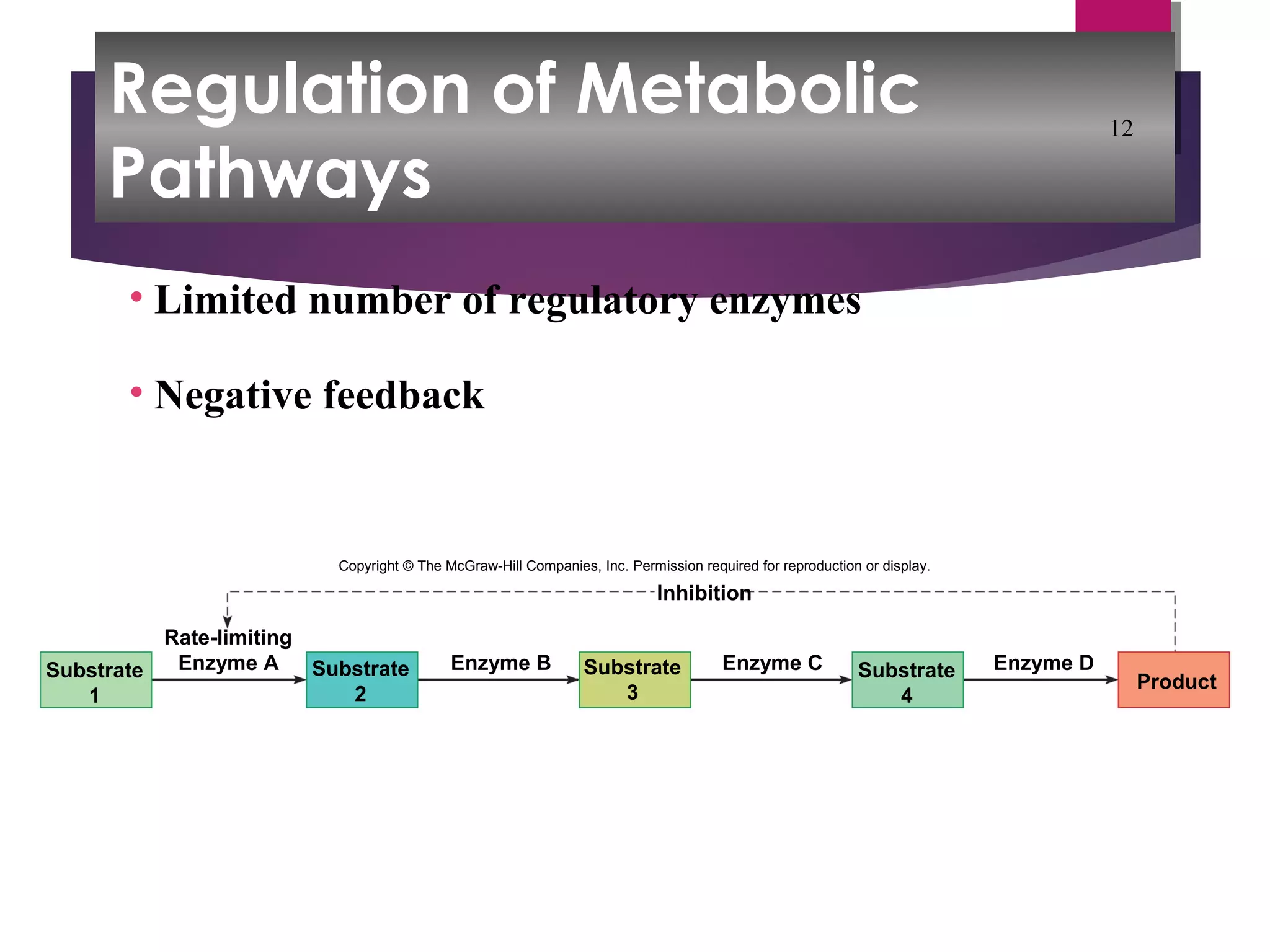 Metabolic processes | PPT
