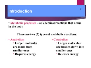 Metabolic processes | PPT