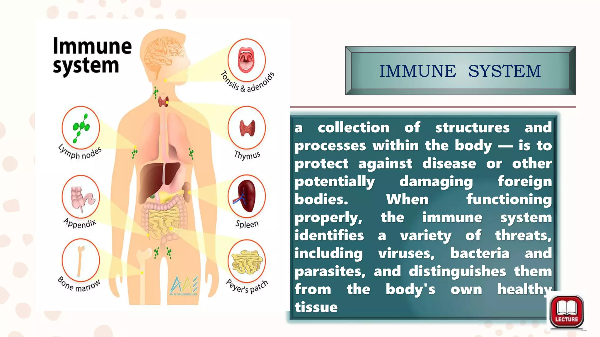 Earth and Life Science - Grade 11 (Organ Systems) | PPTX
