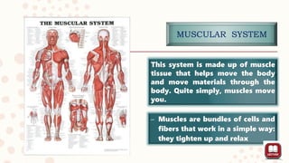 Earth and Life Science - Grade 11 (Organ Systems) | PPTX