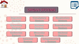 Earth and Life Science - Grade 11 (Organ Systems) | PPTX