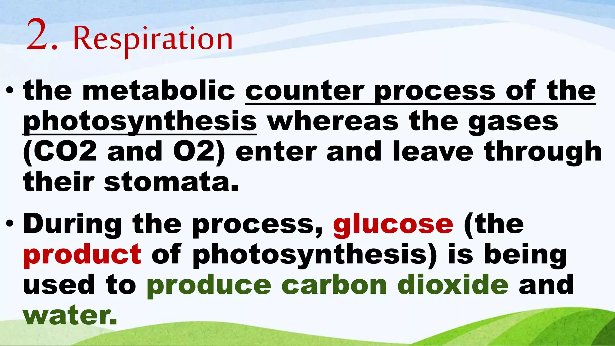 Metabolic process plants | PPTX