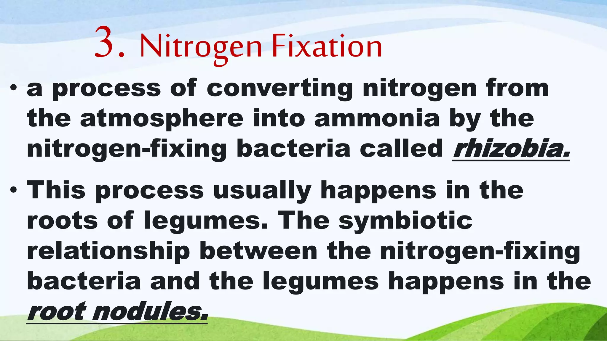 Metabolic process plants | PPTX