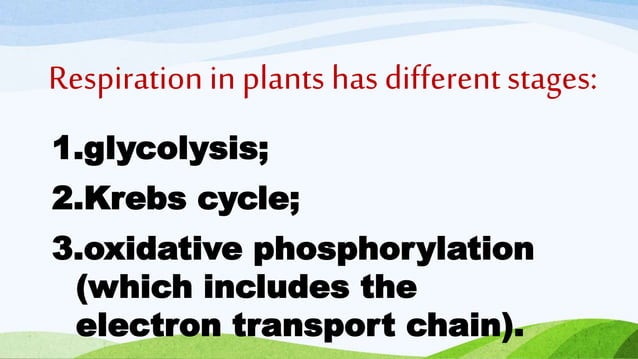 Metabolic process plants | PPTX | Endocrine and Metabolic Diseases | Diseases and Conditions