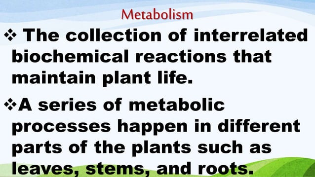 Metabolic process plants | PPTX | Endocrine and Metabolic Diseases | Diseases and Conditions