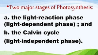 Metabolic process plants | PPTX