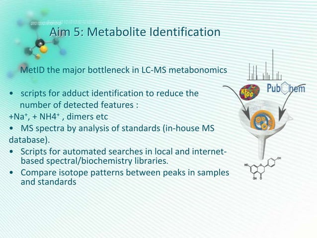 Metabolic Profiling_techniques and approaches.ppt