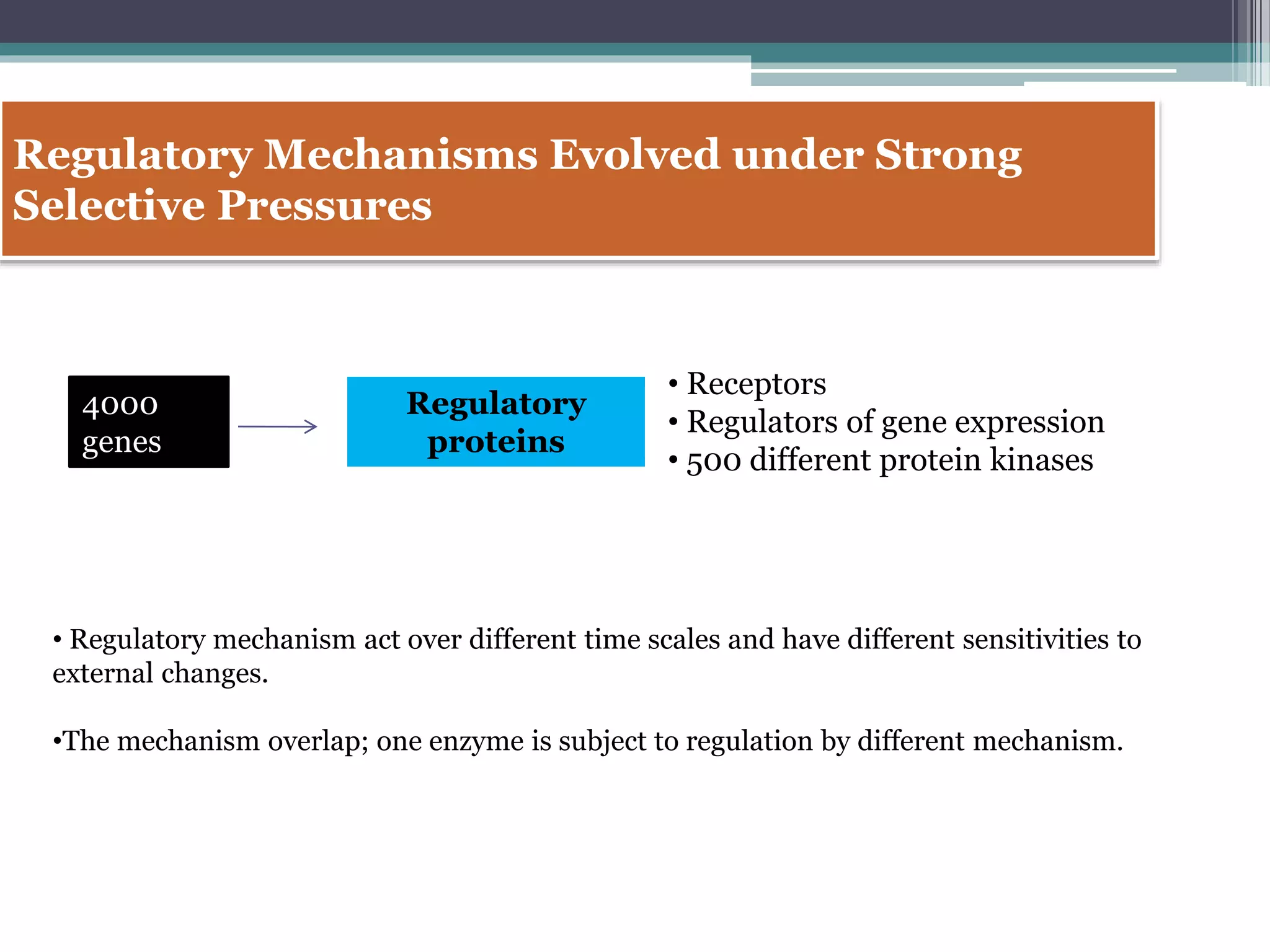 Metabolic regulation at whole cell level | PPTX