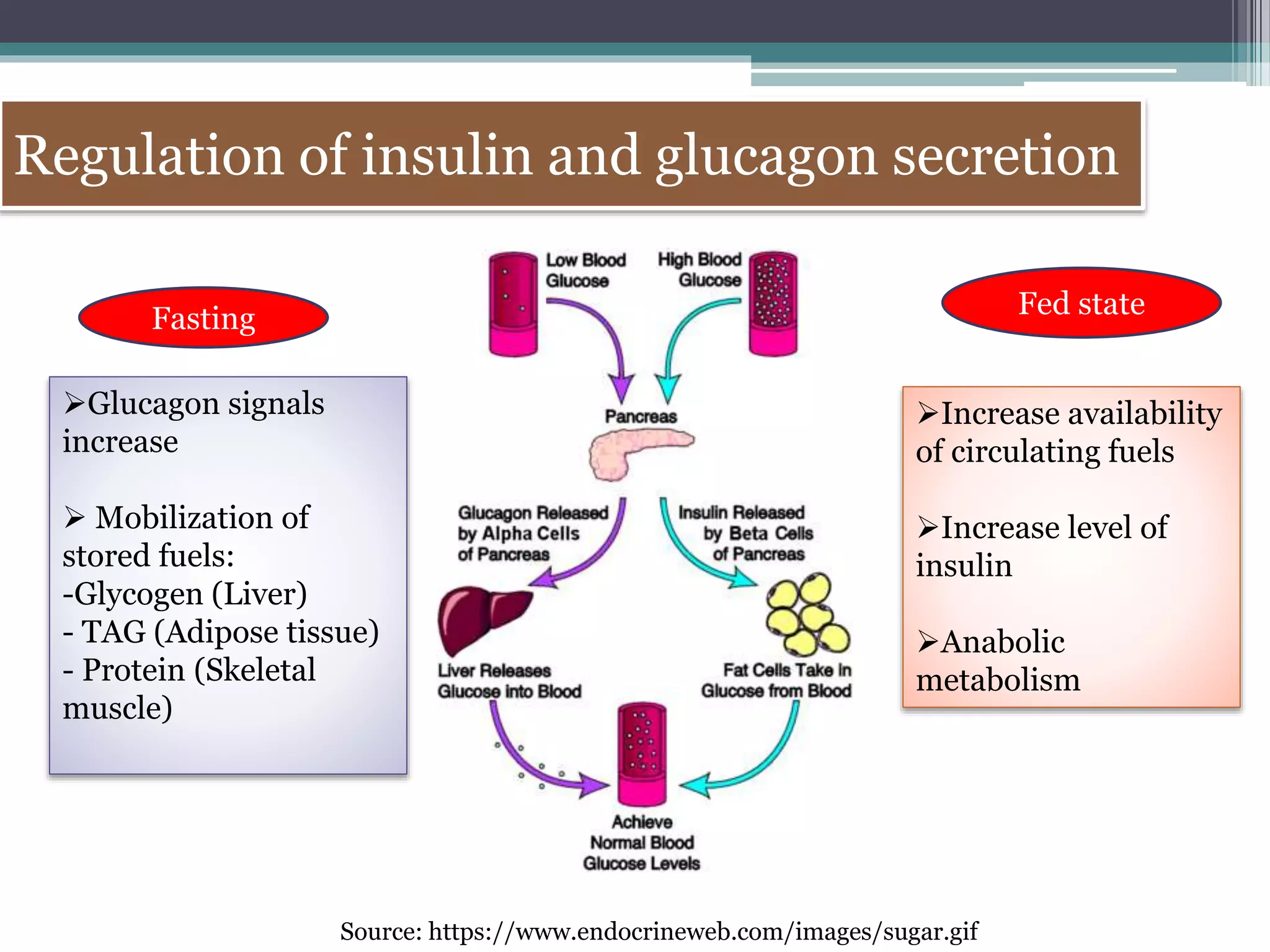 Metabolic regulation at whole cell level | PPTX