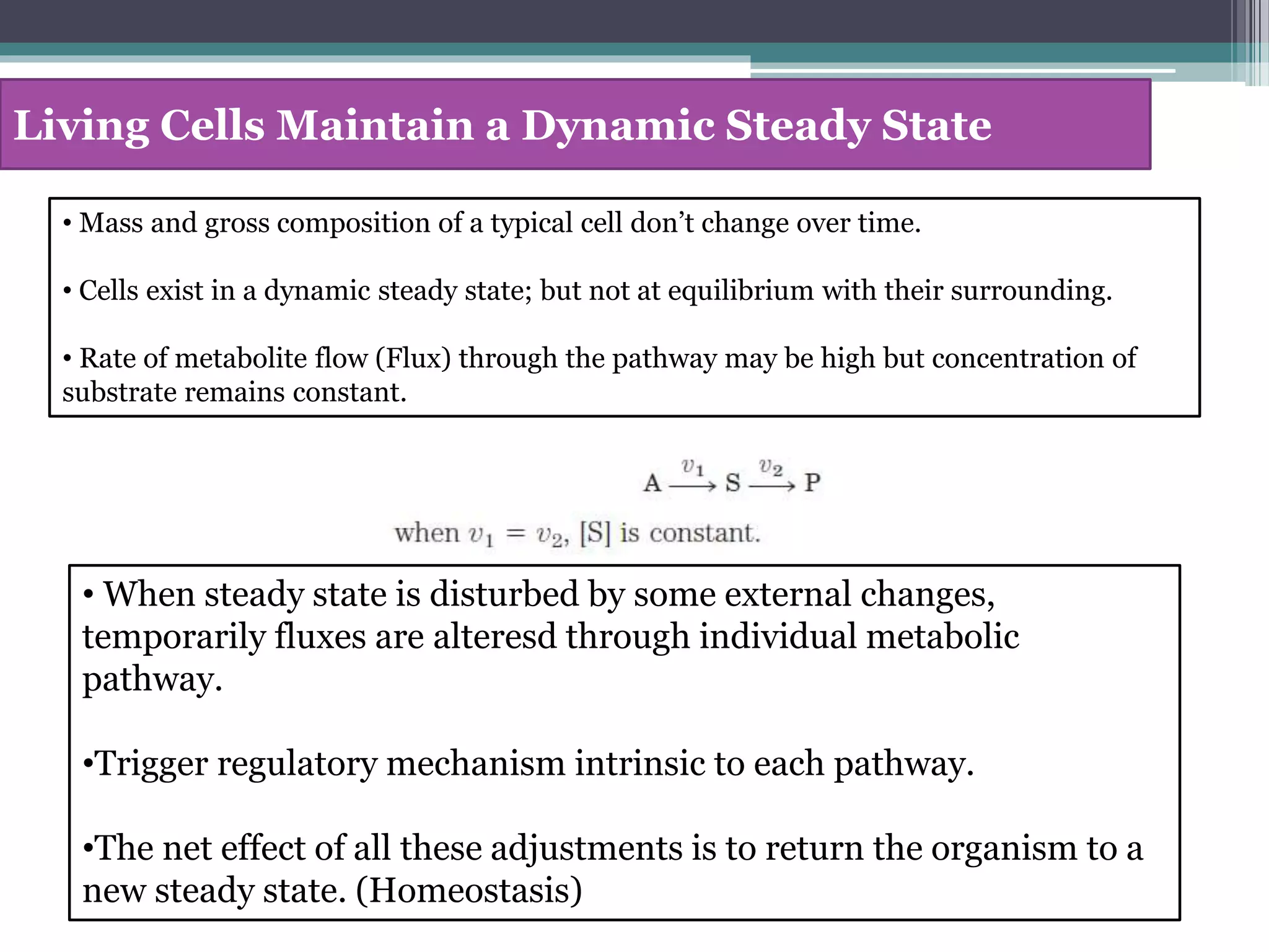 Metabolic regulation at whole cell level | PPTX
