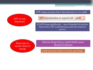 Metabolic regulation at whole cell level | PPTX